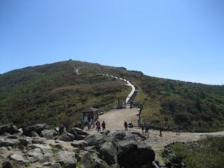 Snowboarding In Korea: My Chiri-san Trek