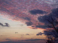 JiLly BeAn: "COLLEGE"-An Acrostic Poem