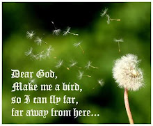 The Janette Maples Project