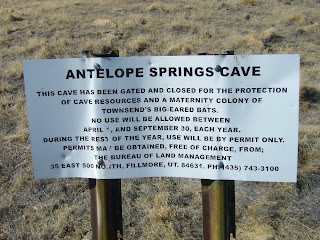 Hydrologic Considerations in Burro Wrangling: Birthday and a Trip to a ...