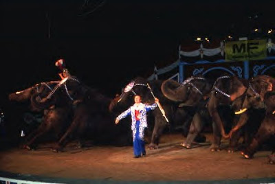 ..Circus Anonymous..: 03/29/09