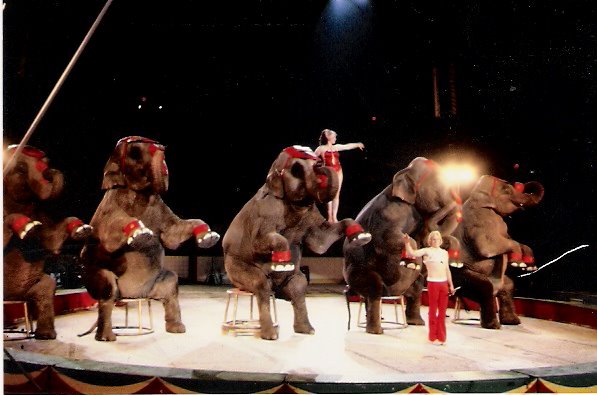 ..Circus Anonymous..: 09/26/10