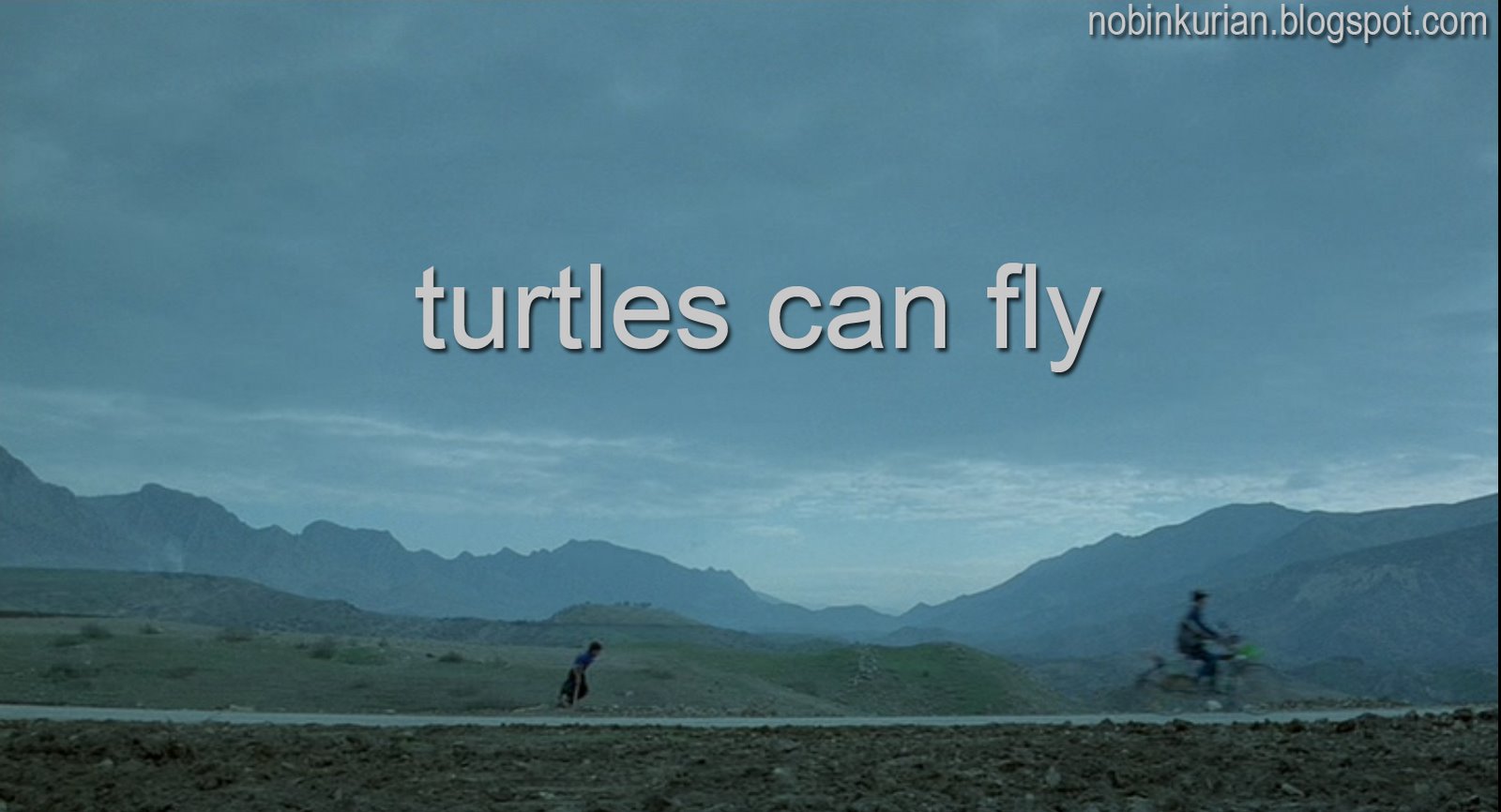 TURTLES CAN FLY | Nobinkurian's Blog