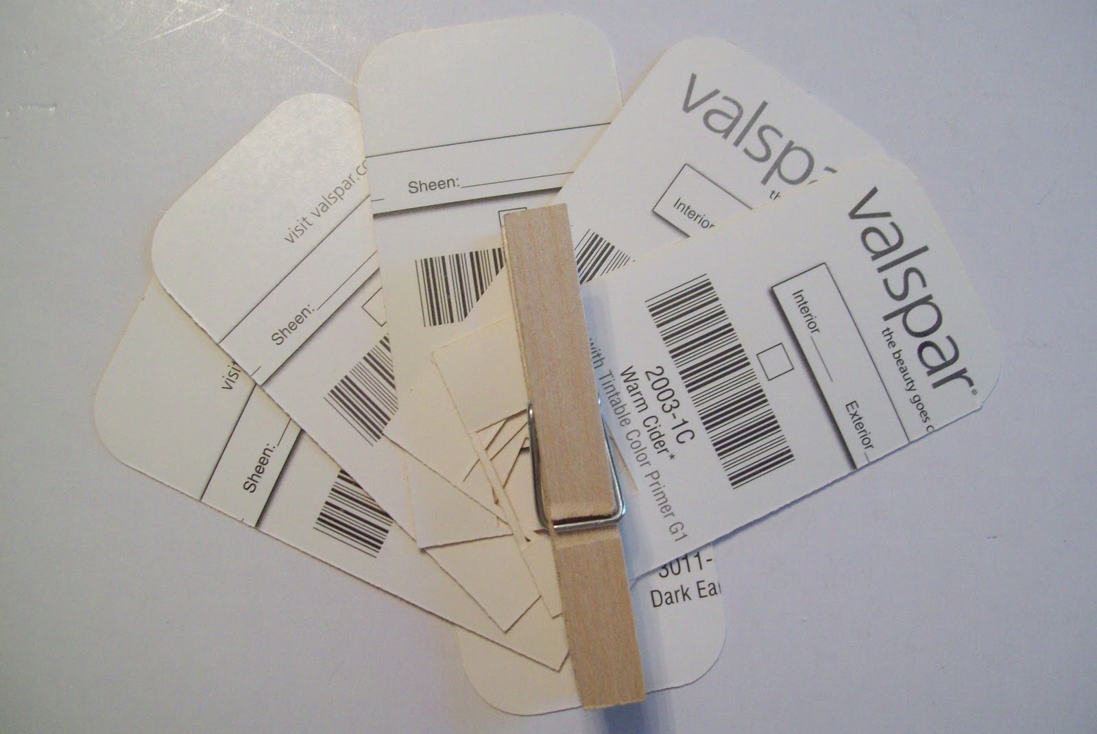 lizard & ladybug: Turkey Thursday