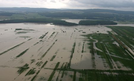 România Mea!: Despre inundatii...