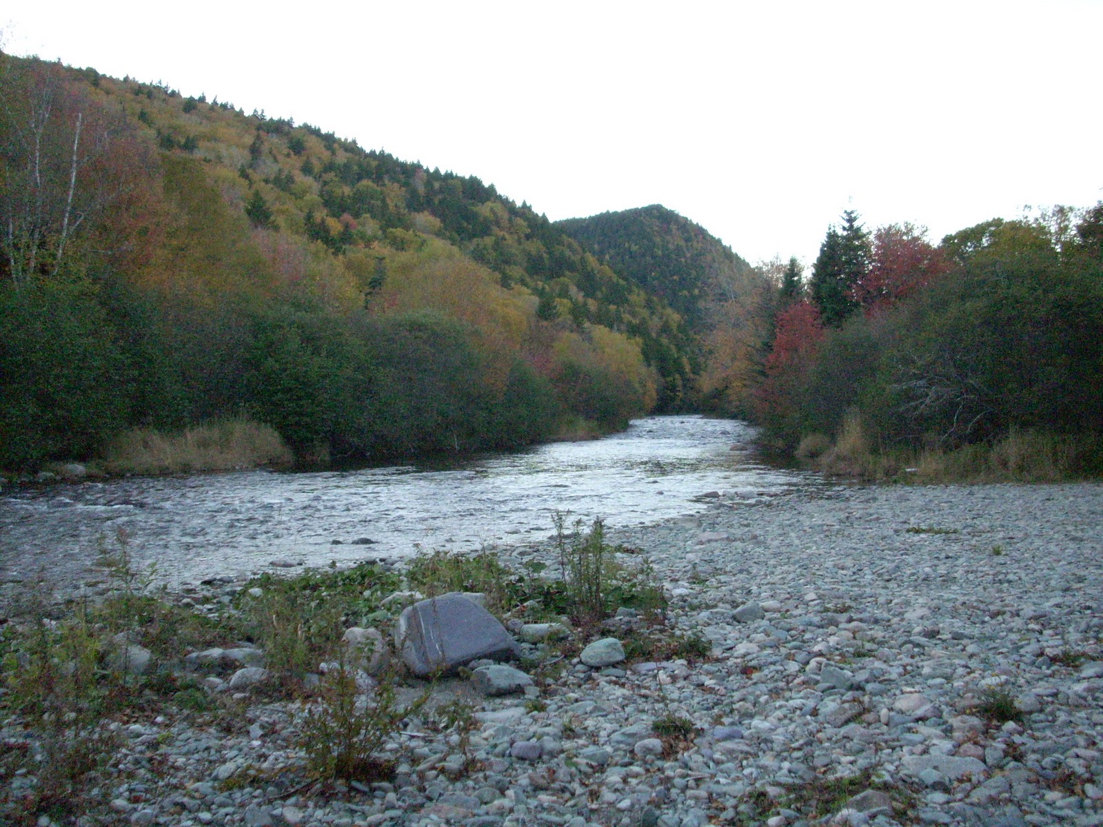 Local Motion: Thanksgiving Hike #3: Caledonia Gorge
