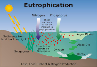 Biosphere, Atmosphere and Hydrosphere: Eutrophication
