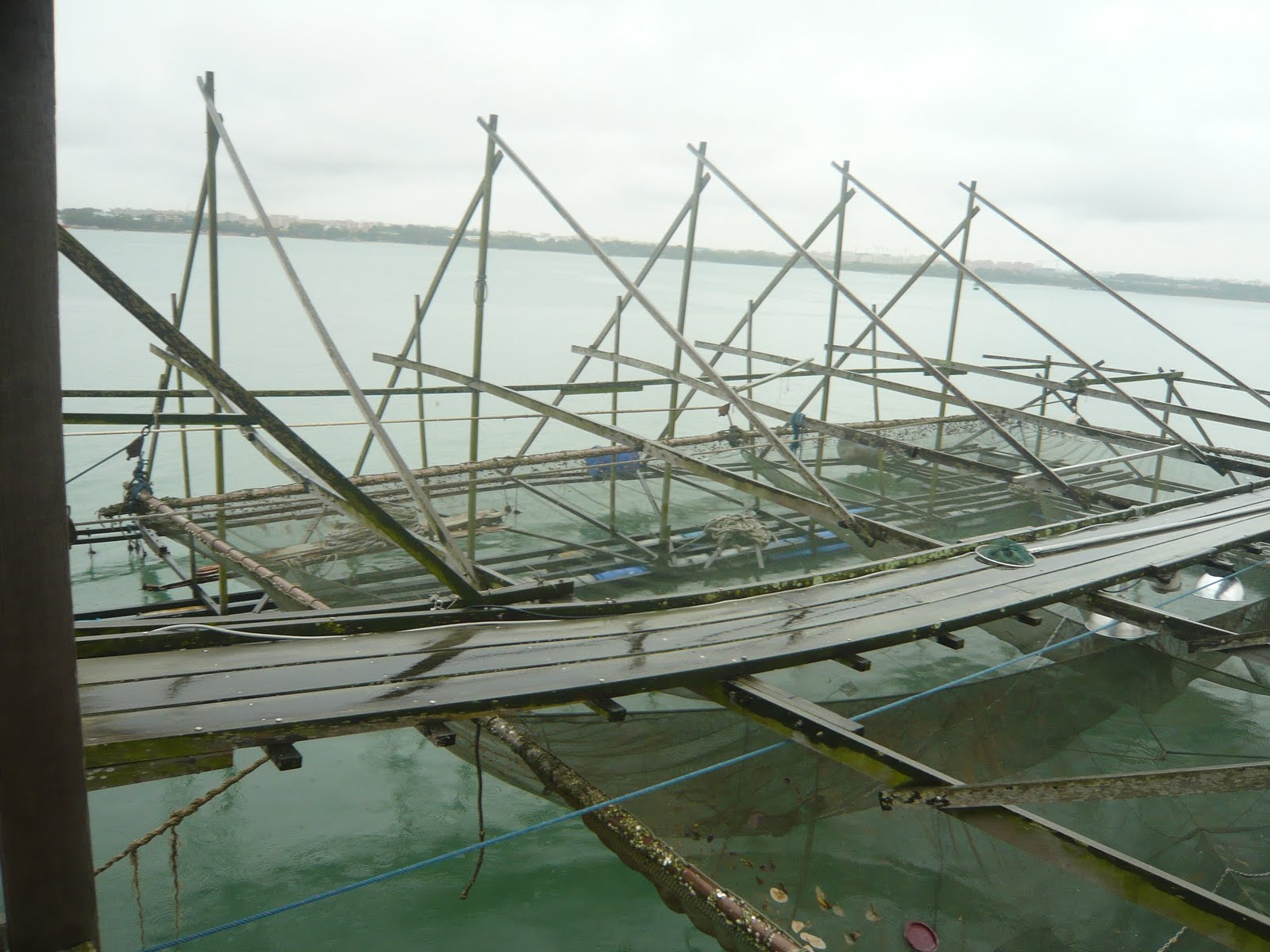 Singapore Local Tour: Kelong Tour Updates