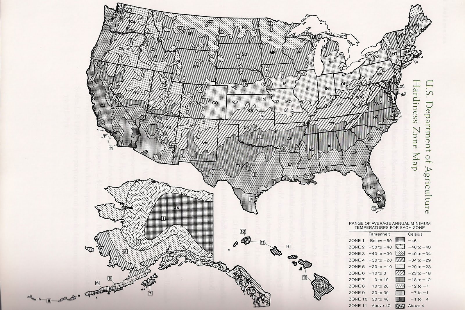 One Fell Out of the Cuckoo's Nest: Hydrangeas Part II