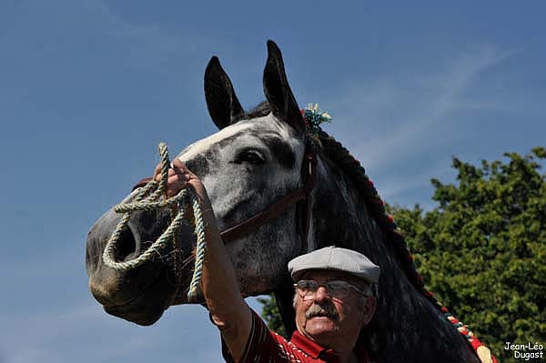 Percheron International: Cheval Plaisir