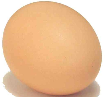 Saiba mais sobre o Ovo na nossa alimentação | Revista Universo