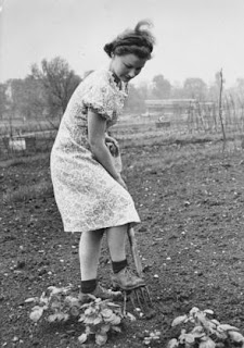 Vintage Vixen: Dig For Victory