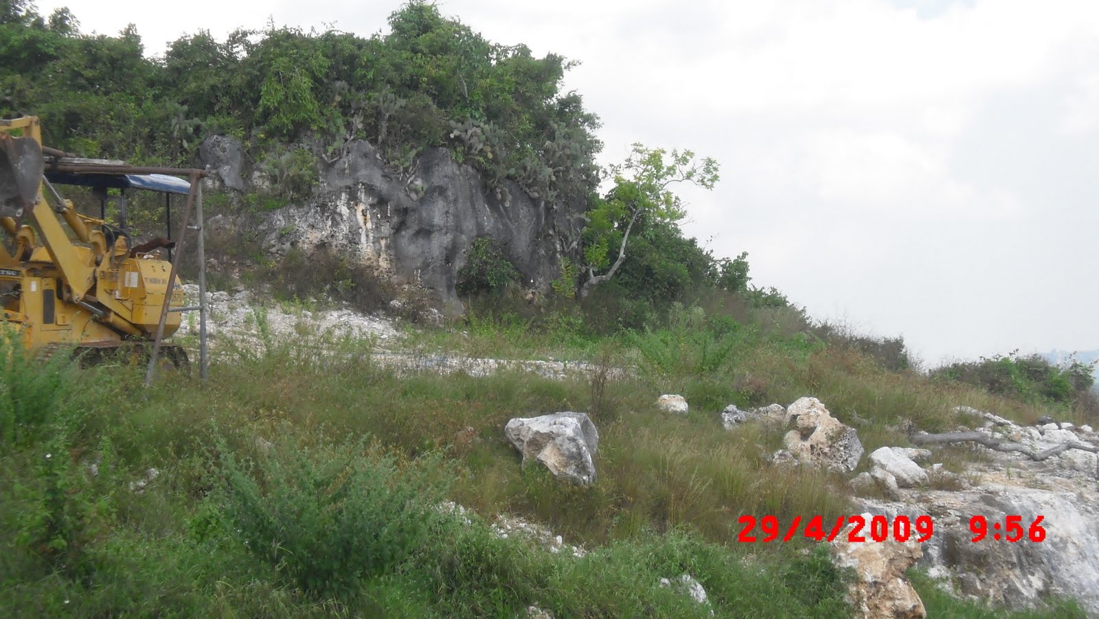 INFO GUANO PHOSPHAT: GUANO ROCK PHOSPHAT FROM JAVA