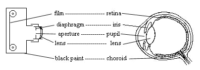 Developing Blogs to teach Physics for Class VIII of the Tamilnadu ...