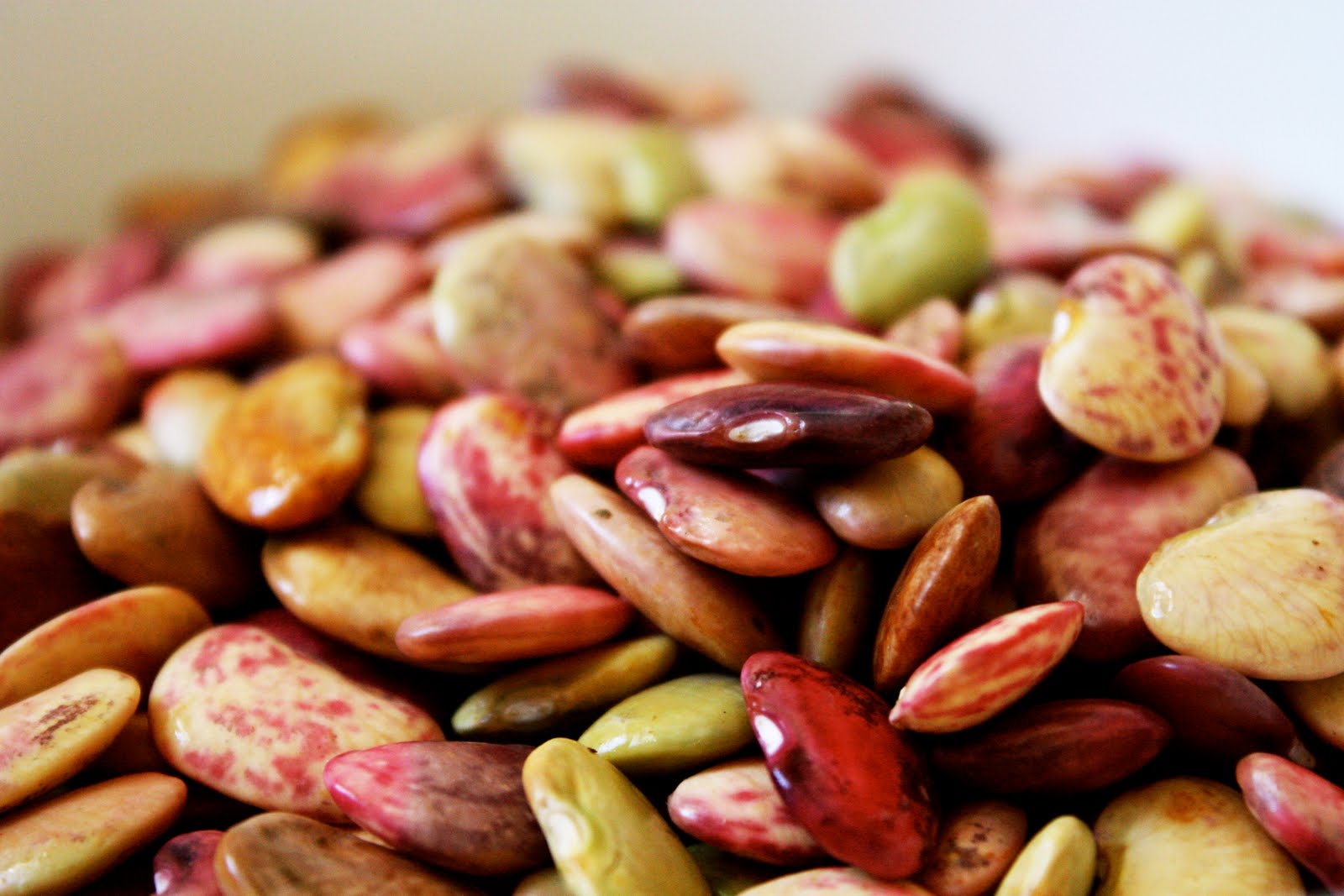 Madaket Market: Bean Heaven