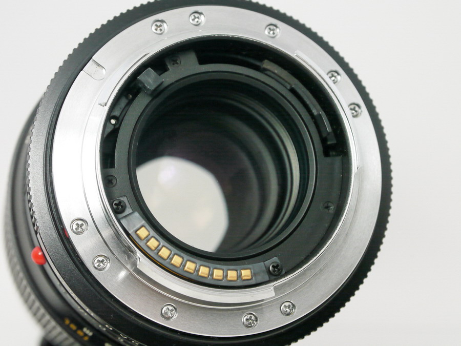 shutter releasing: LEICA ELMARIT-MACRO-R 100mm f/2.8 APO 眼前所見 忠實呈現