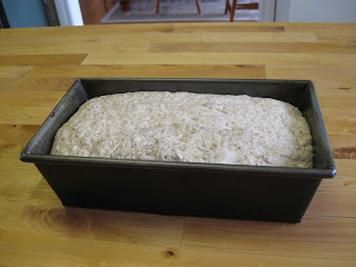 Shack in the Middle: Slow Rise Whole Wheat Sandwich Bread (easiest ...