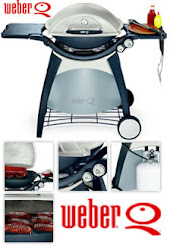 Weber Q300 |weber q 300 |gas grills