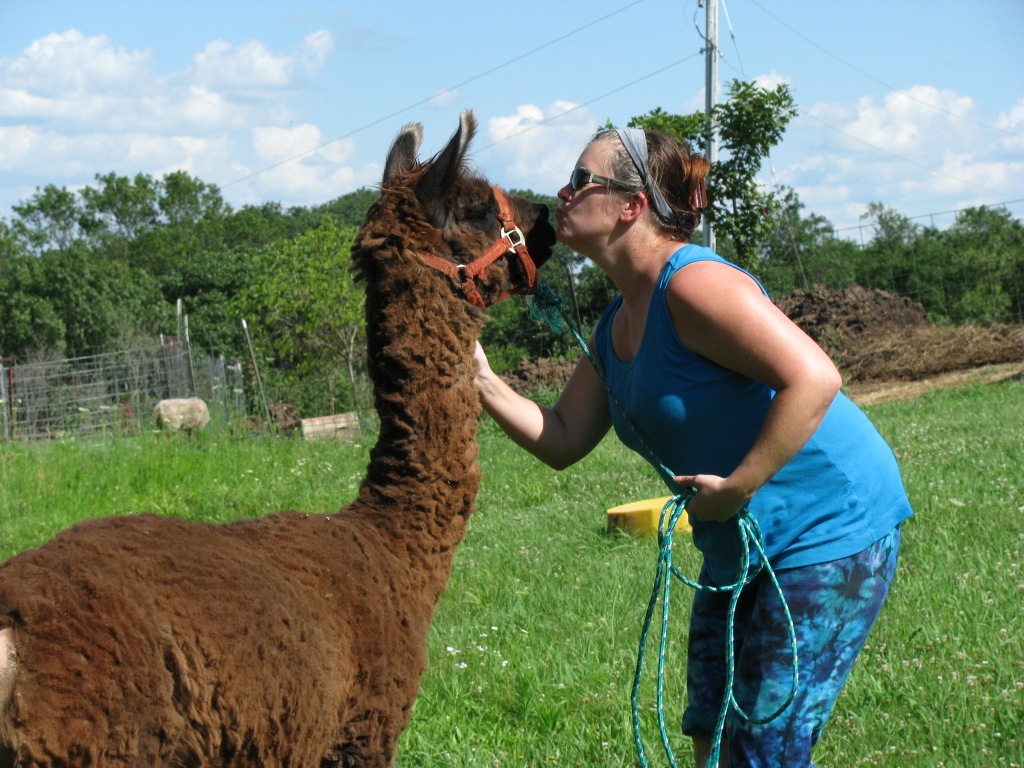 Dispatches from Can of Duck: How to Shear a Llama: The "Easy" Method!