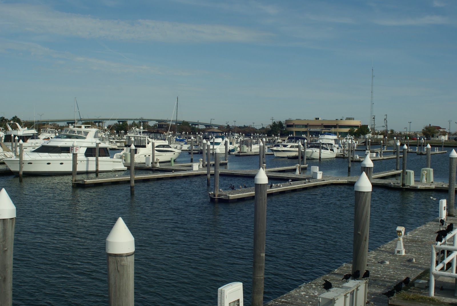 Toronto Bed & Breakfast winter travels: Trump Marina in Atlantic City