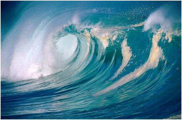 ¿Qué onda con las ondas?: Ondas en la Naturaleza