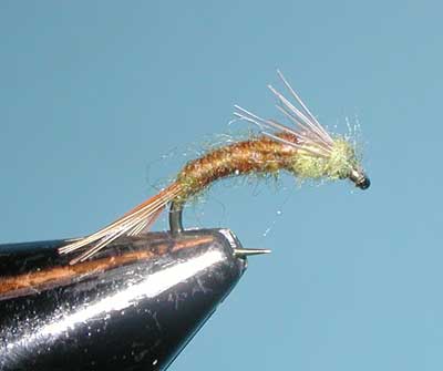 Fly Fishing Traditions: Baetis Complex - Part IV - Presentation of BWO ...