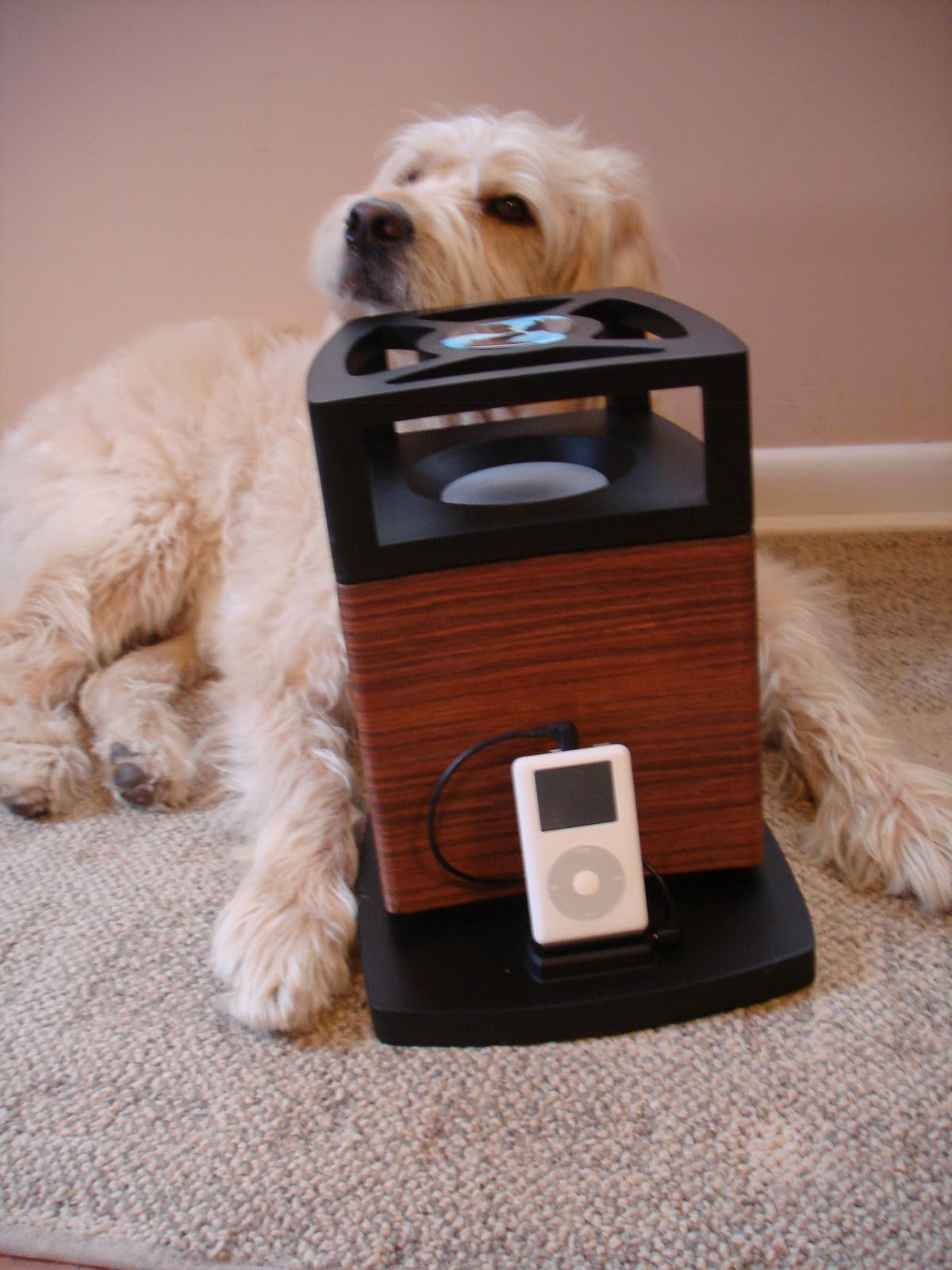 Bocker's Favorite Things: Pet Acoustic Speakers