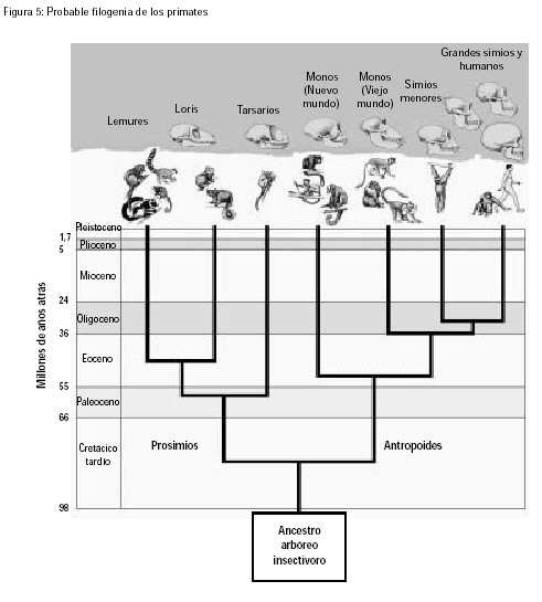 DISCIPULI MINERVAE: Términos con filos