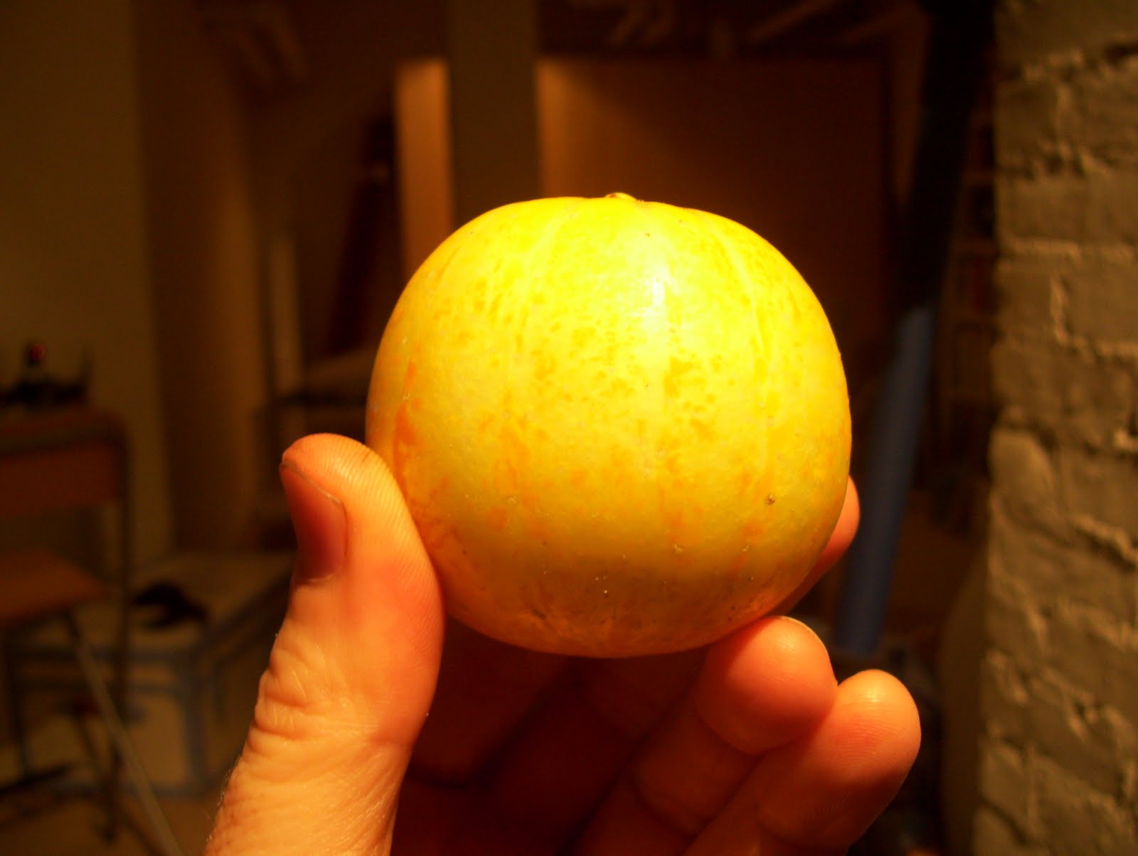 200 Foot Garden: Perfect Lemon-Apple Cucumber