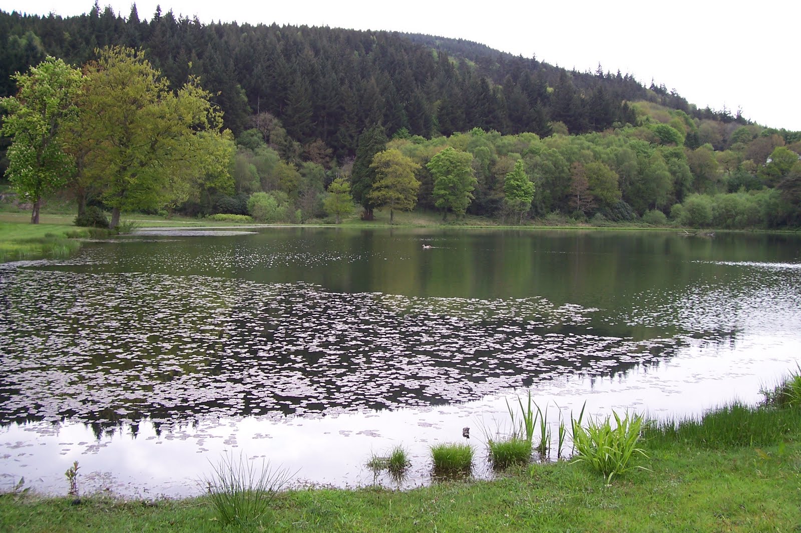 Cymdeithas Hanes Resolfen History Society: More photos of Rheola Visit