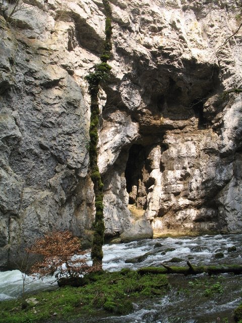 Svet pod lahkimi koraki: Rakov Škocjan