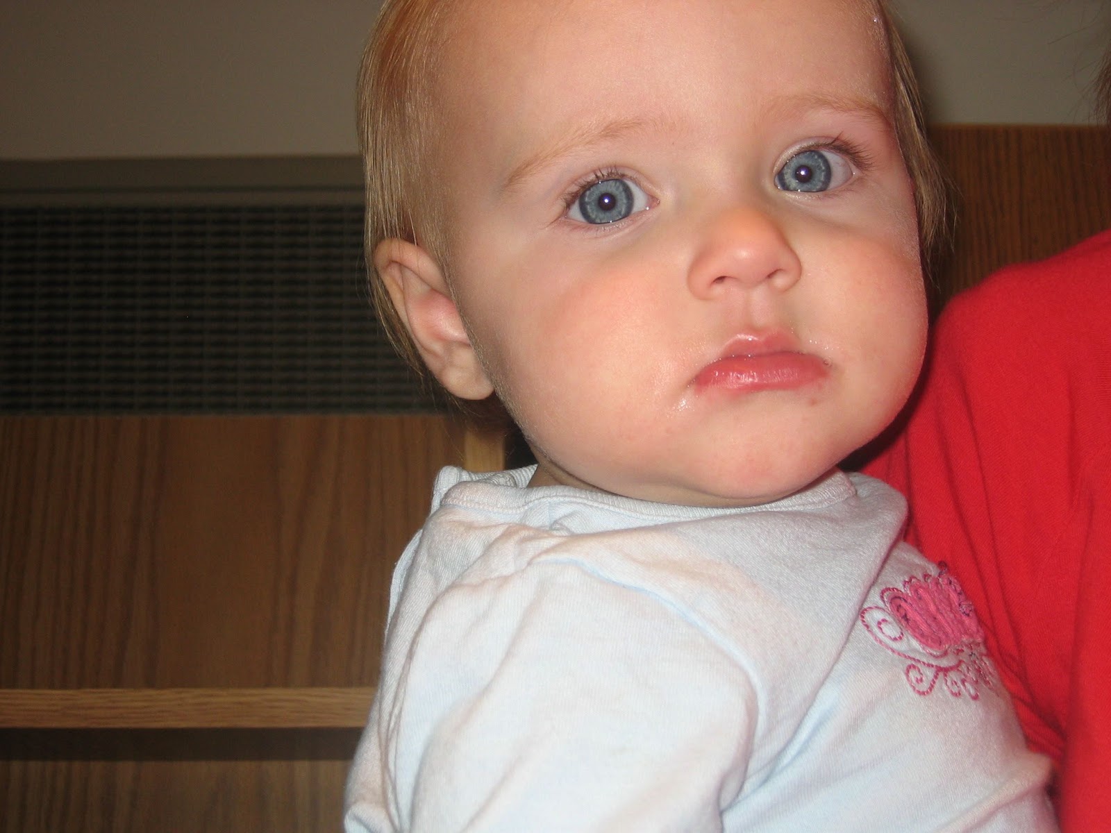 Adventures with Monkeys