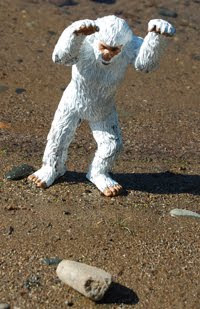 BIGFOOT NEWS and SASQUATCH SIGHTINGS: Yeti Monster Spotted on ...