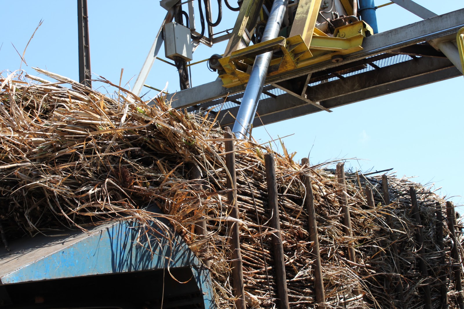 GUNUNG MADU PLANTATIONS, DIVISI AREA VII: Sekilas Kunjungan Brazil 2010
