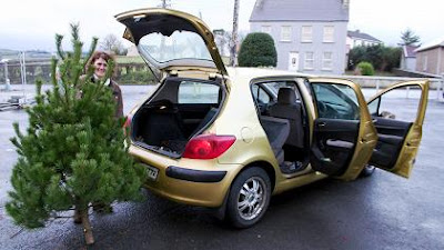 Inishindie: ME AND MY MOTOR-TRUDY MCLAUGHLIN