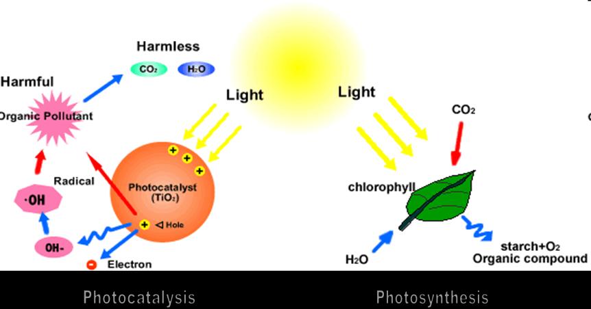 Sahabat Nanotech: Photocatalysis