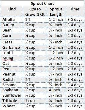 Seasons of Time and Thought: Sprouting