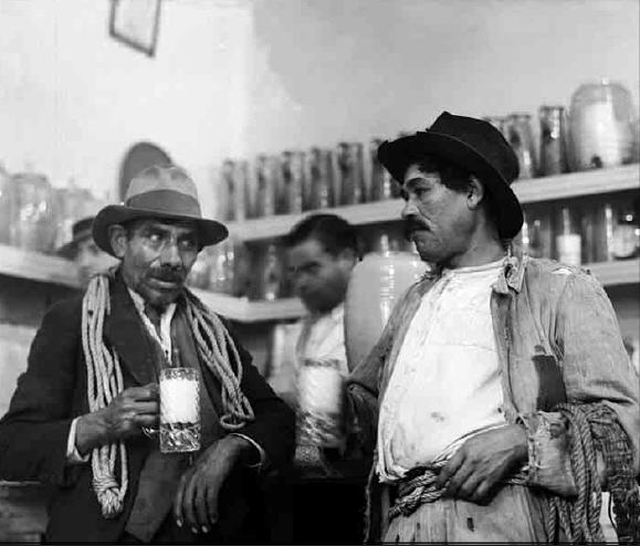 Matices de la vida: Pulquerias Tradicion Resurgida