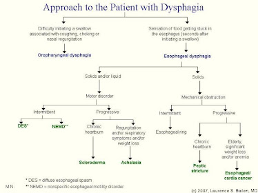 Dysphagia: Information for Individuals Diagnosed and For Their Loved ...