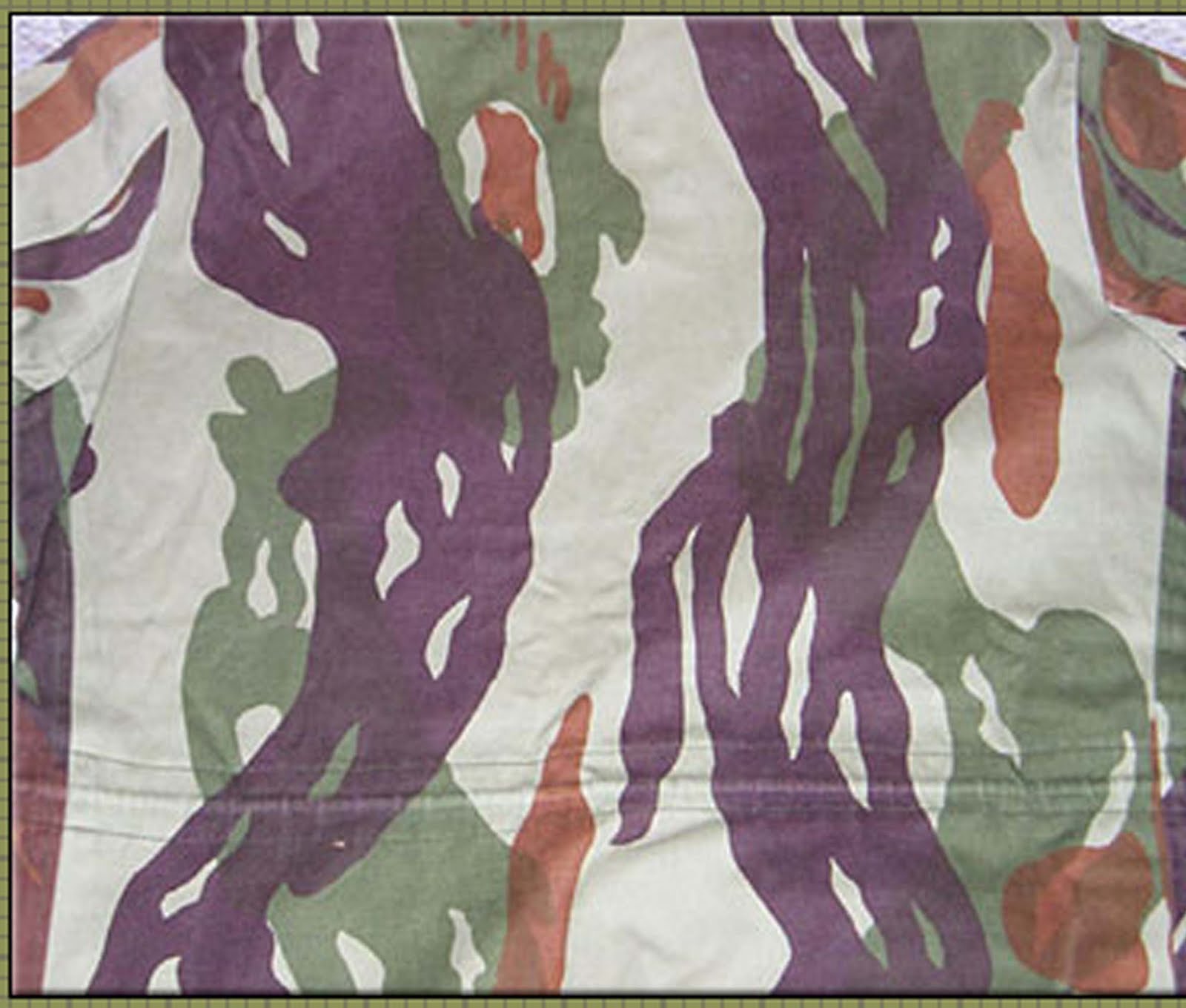 Camouflage: July 2010