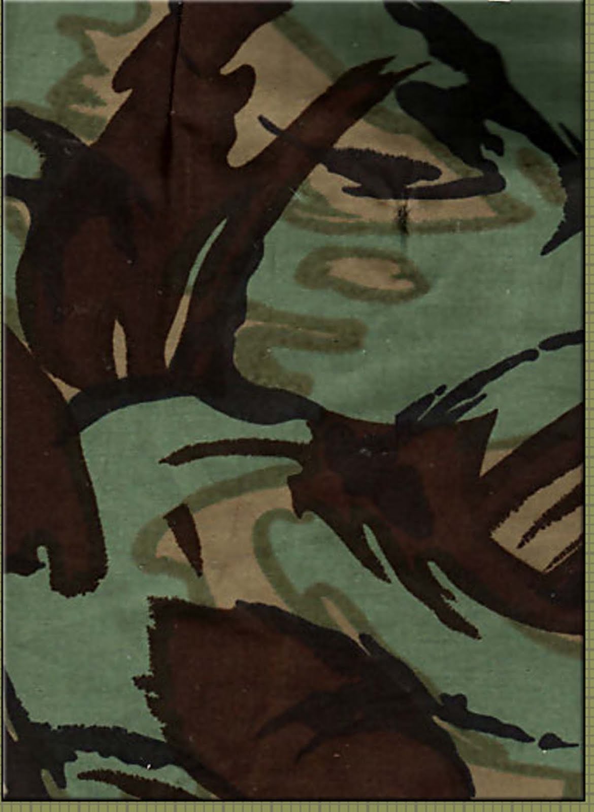 Camouflage: More examples of camouflage