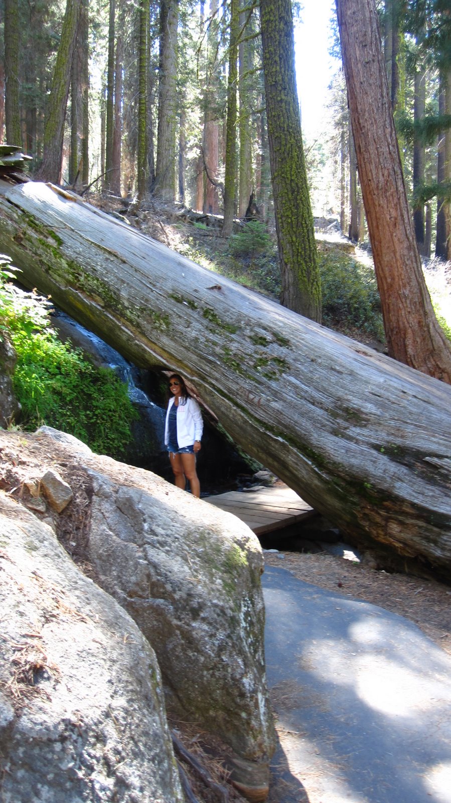 Abenaughter's Adventures: On the Congress Trail