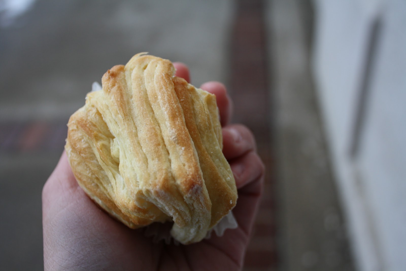 The Hungry Panda of Louisville: The Danville, KY bakery tour