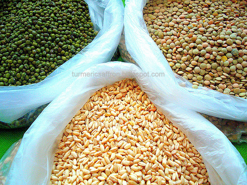 Turmeric & Saffron: Growing Seeds (Sabzeh) For Nowruz (Persian New Year)