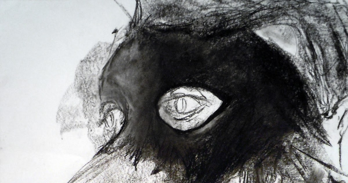 Perspective Art: Bird Mask