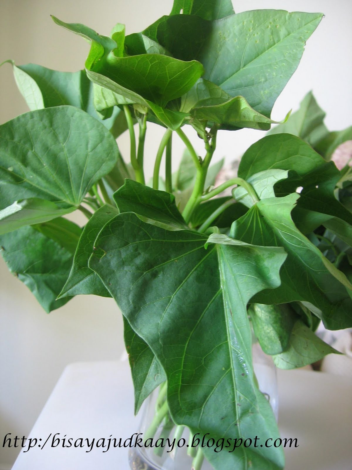 Inato lang Filipino Cuisine and More: ADOBONG KANGKONG