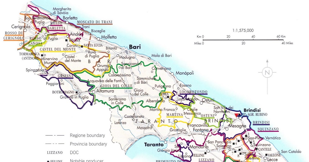 We Study Wine: Maps of Puglia DOCs