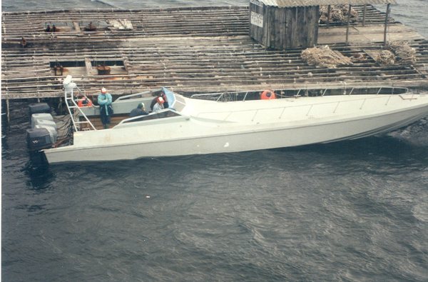 Historia del S.V.A.: Las planeadoras.