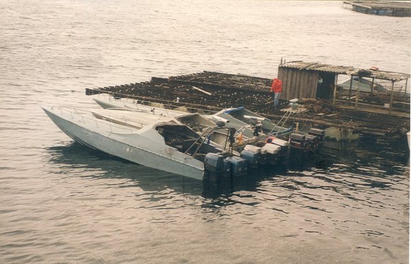 Historia del S.V.A.: Las planeadoras.