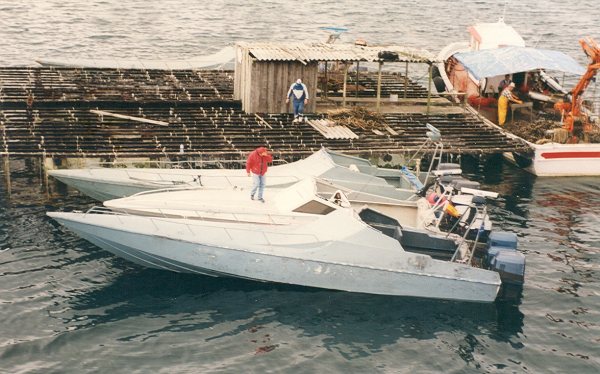 Historia del S.V.A.: Las planeadoras.